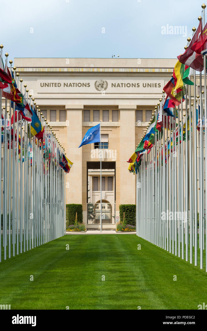 Flags of the members of the United Nations flying from a row of flag ...