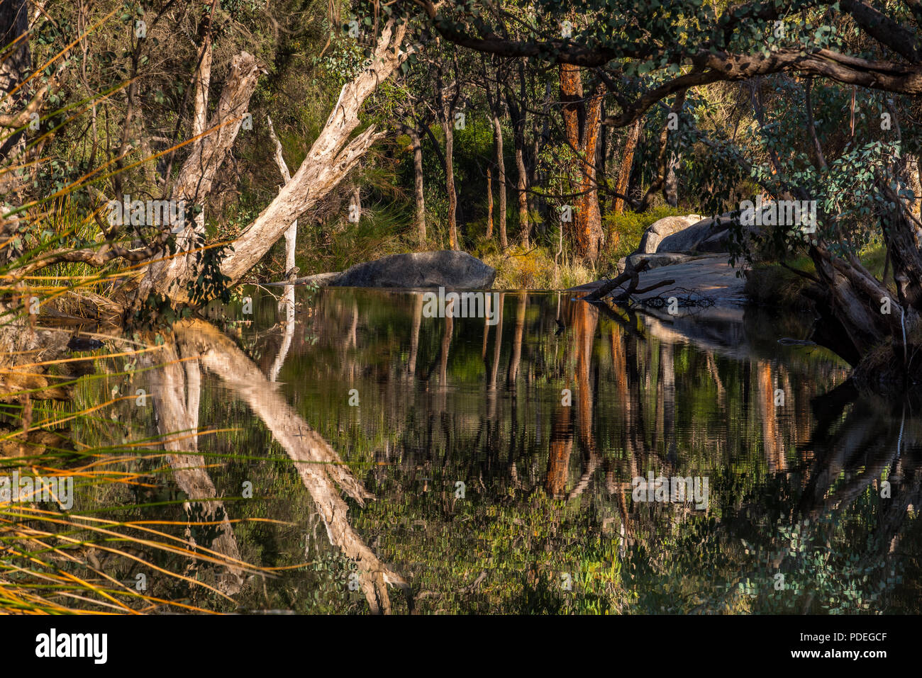 Gidgegannup mistymorning hi-res stock photography and images - Alamy