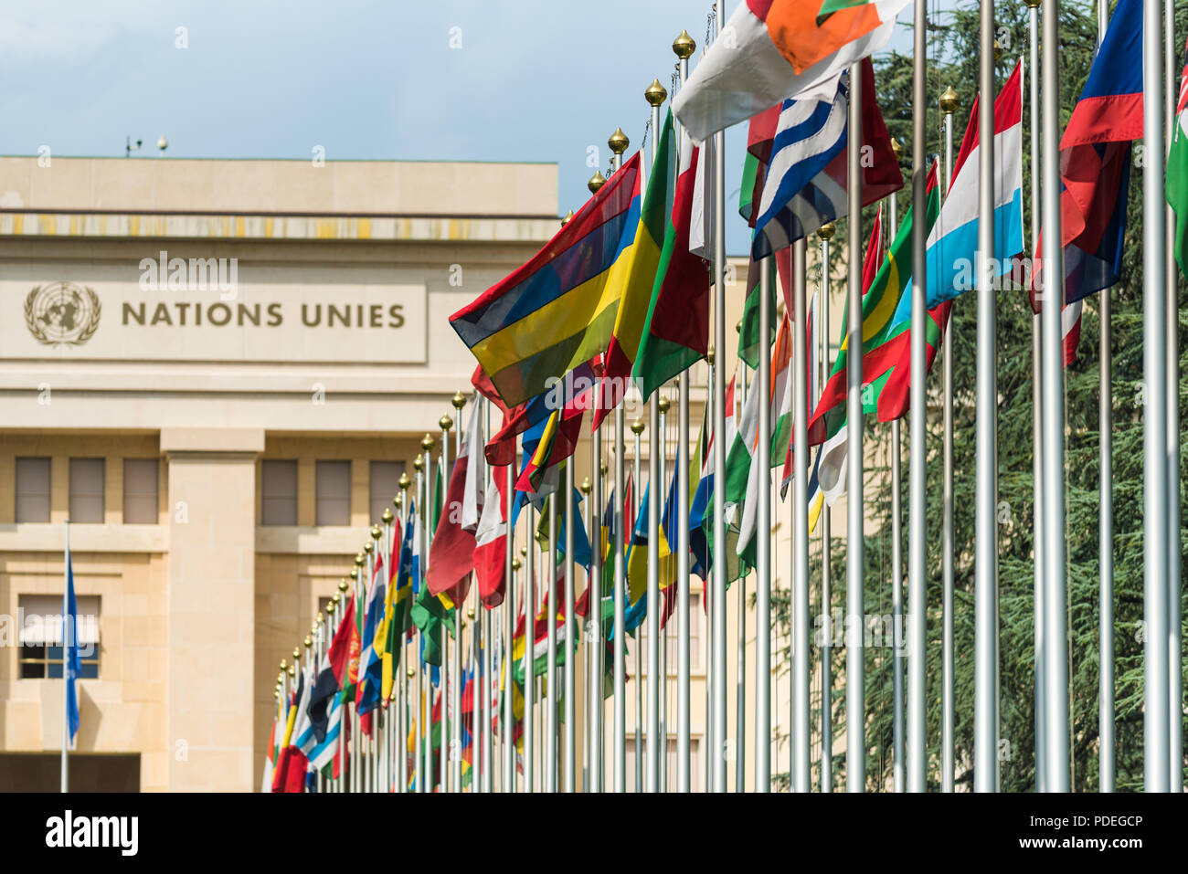 Flags of the members of the United Nations flying from a row of flag ...