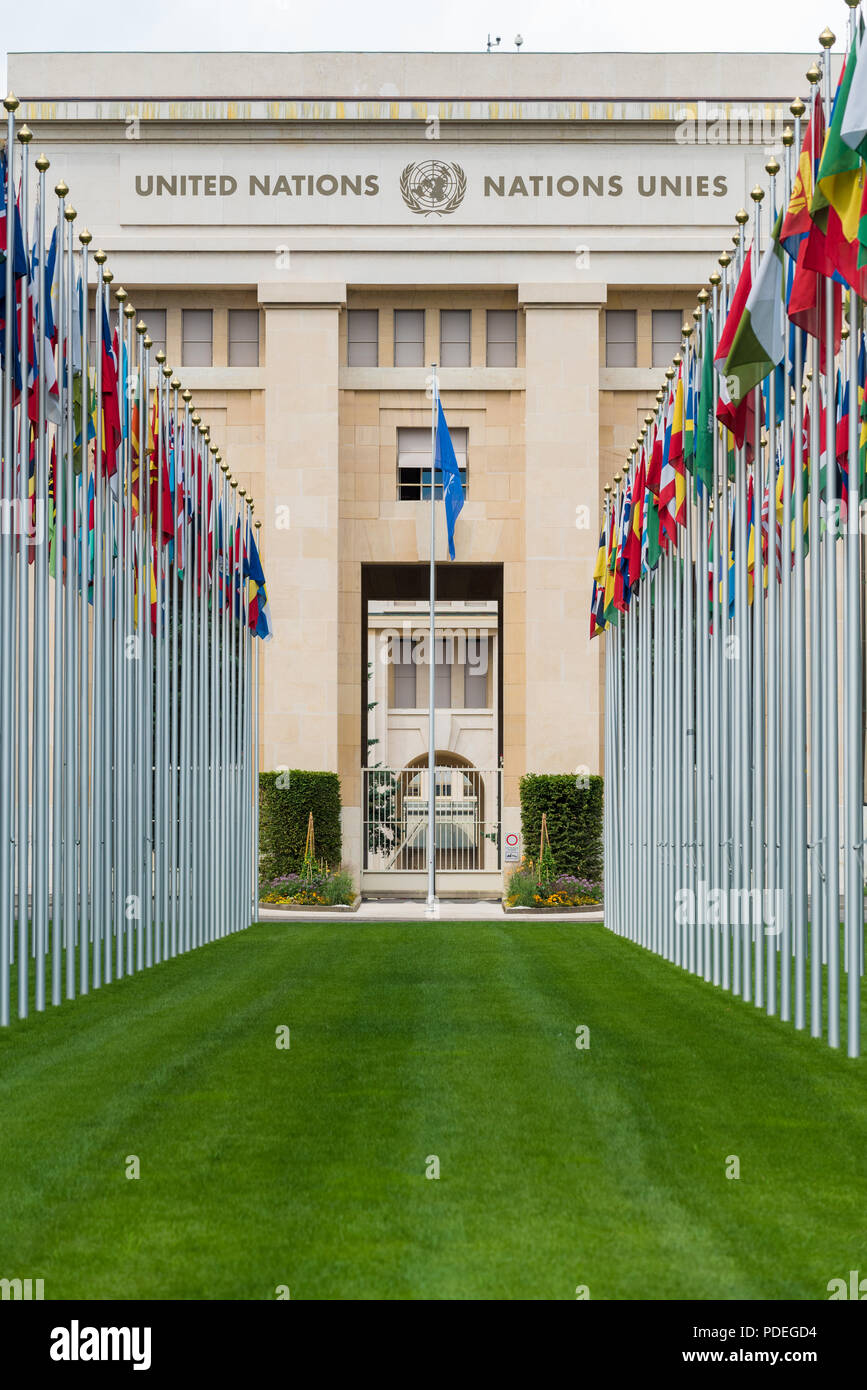 Flags of the members of the United Nations flying from a row of flag ...