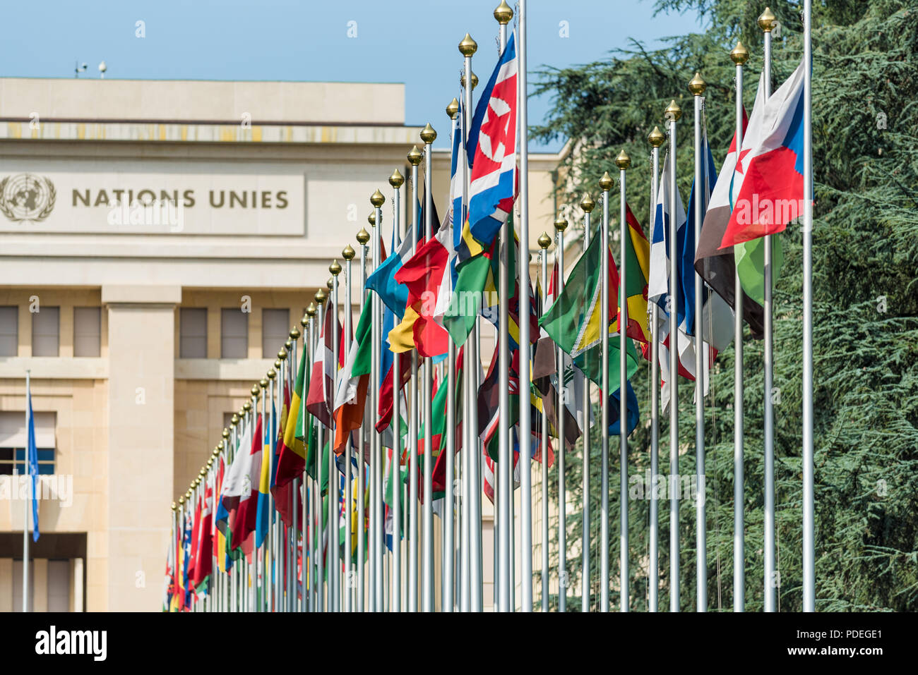 Flags of the members of the United Nations flying from a row of flag ...