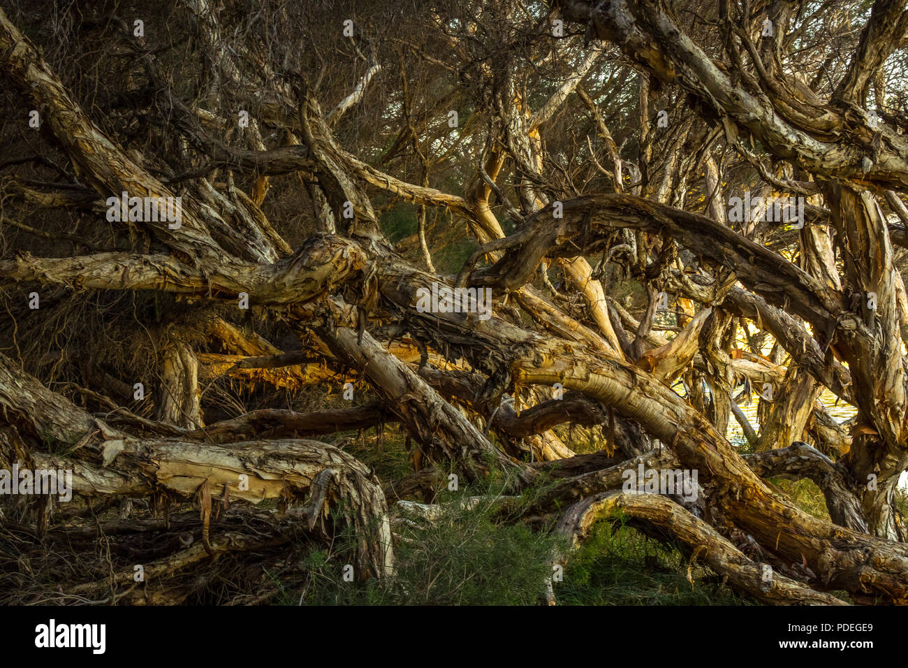 Guilderton western australia hi-res stock photography and images - Alamy