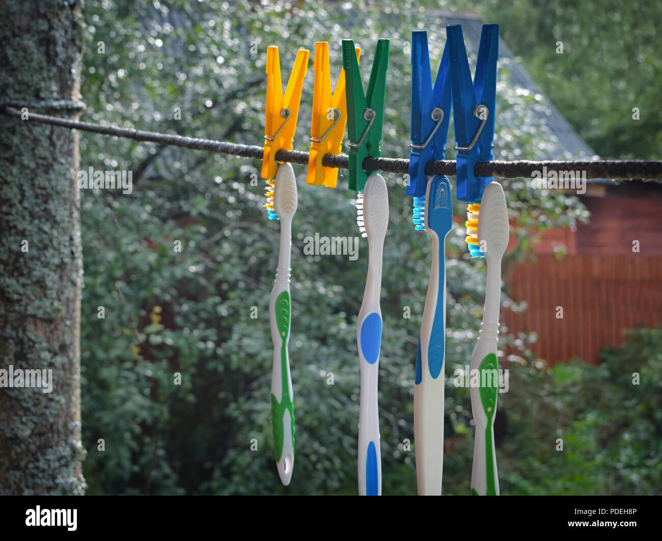 Filtered image of the toothbrushes hanging on a rope outdoor Stock ...