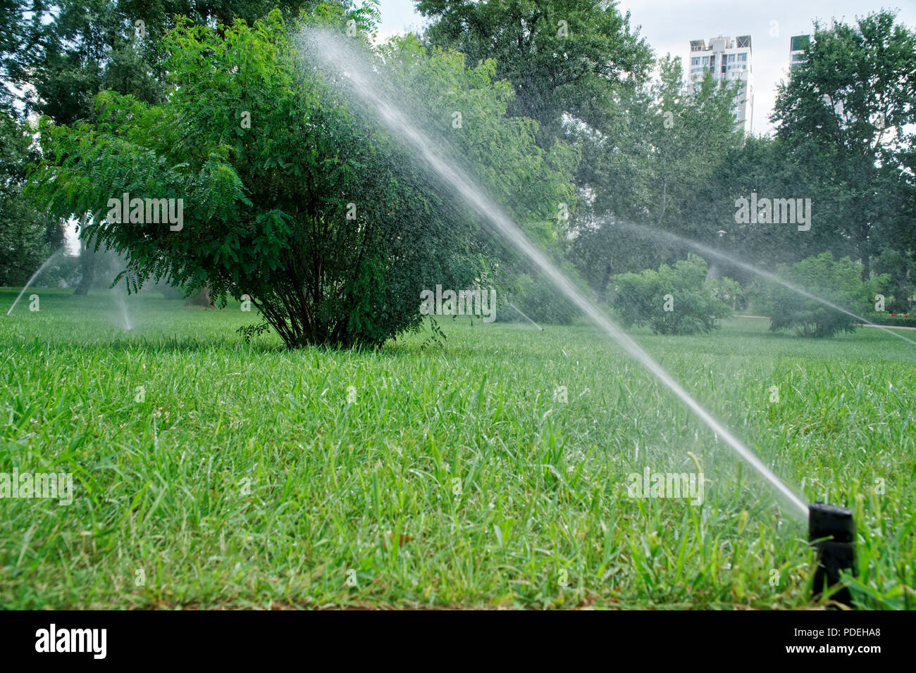 Sprinkler system watering grass in park, splash water Stock Photo - Alamy