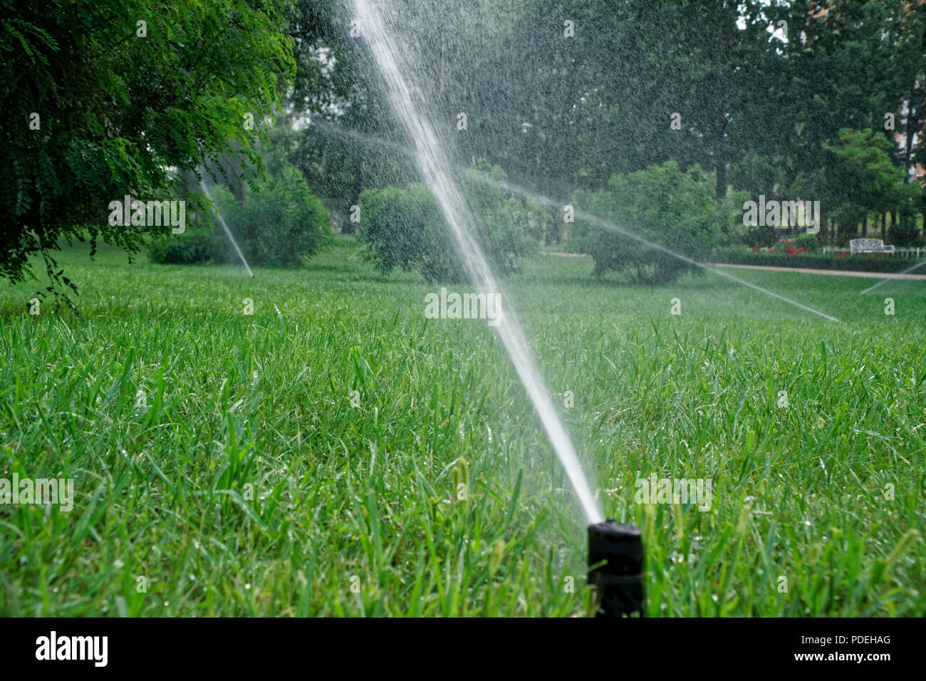 Sprinkler system watering grass in park, splash water Stock Photo - Alamy