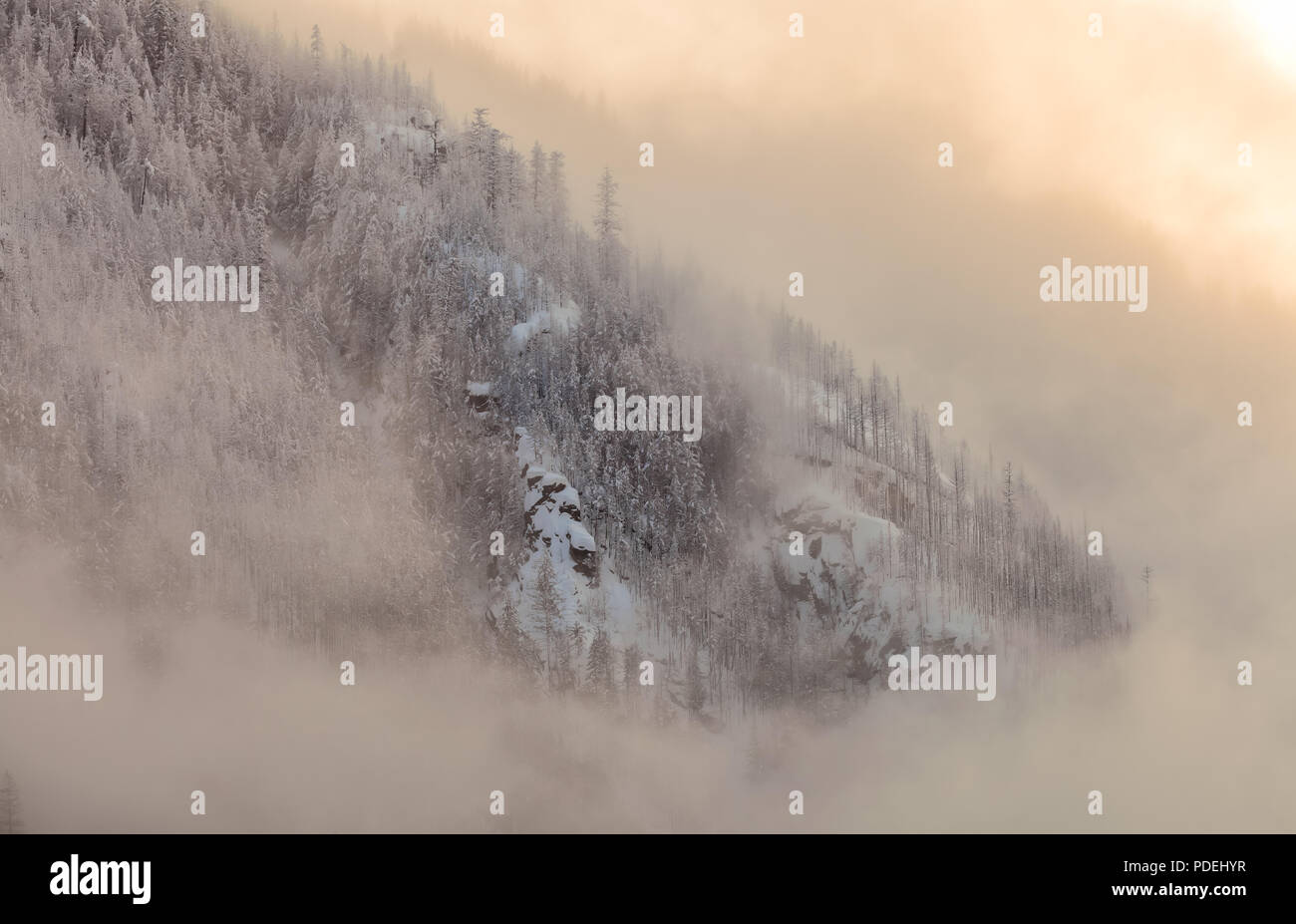 Thick fog covered the mountain slope during a winter snow storm at ...