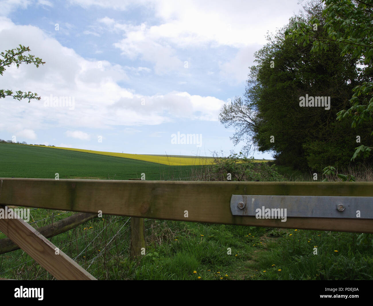 View across scenic countryside from over gate in the South Downs from ...