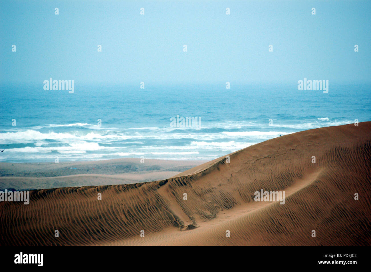 Vegetation in sahara desert hi-res stock photography and images - Alamy