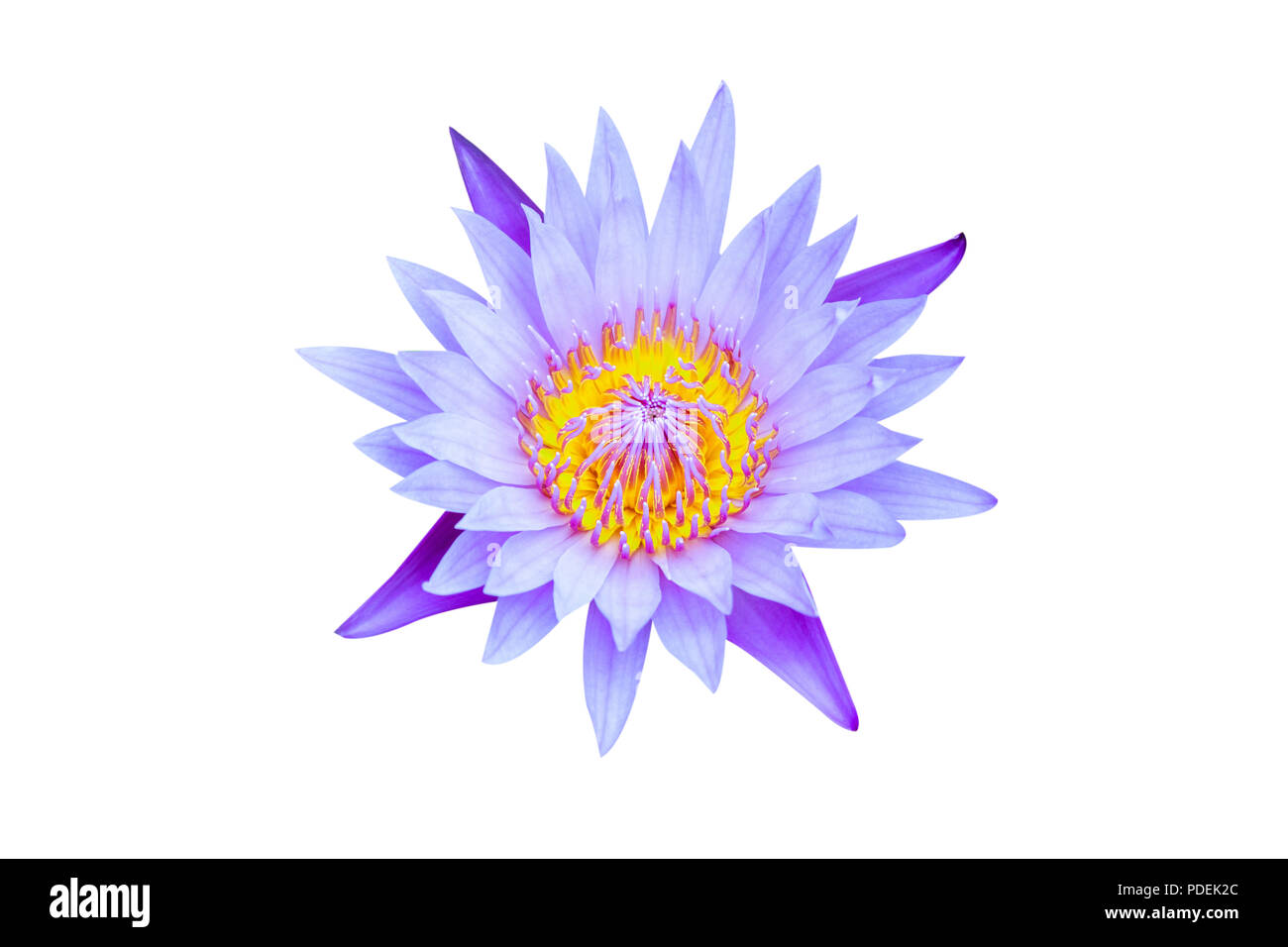 Zen flower pattern Cut Out Stock Images & Pictures - Alamy