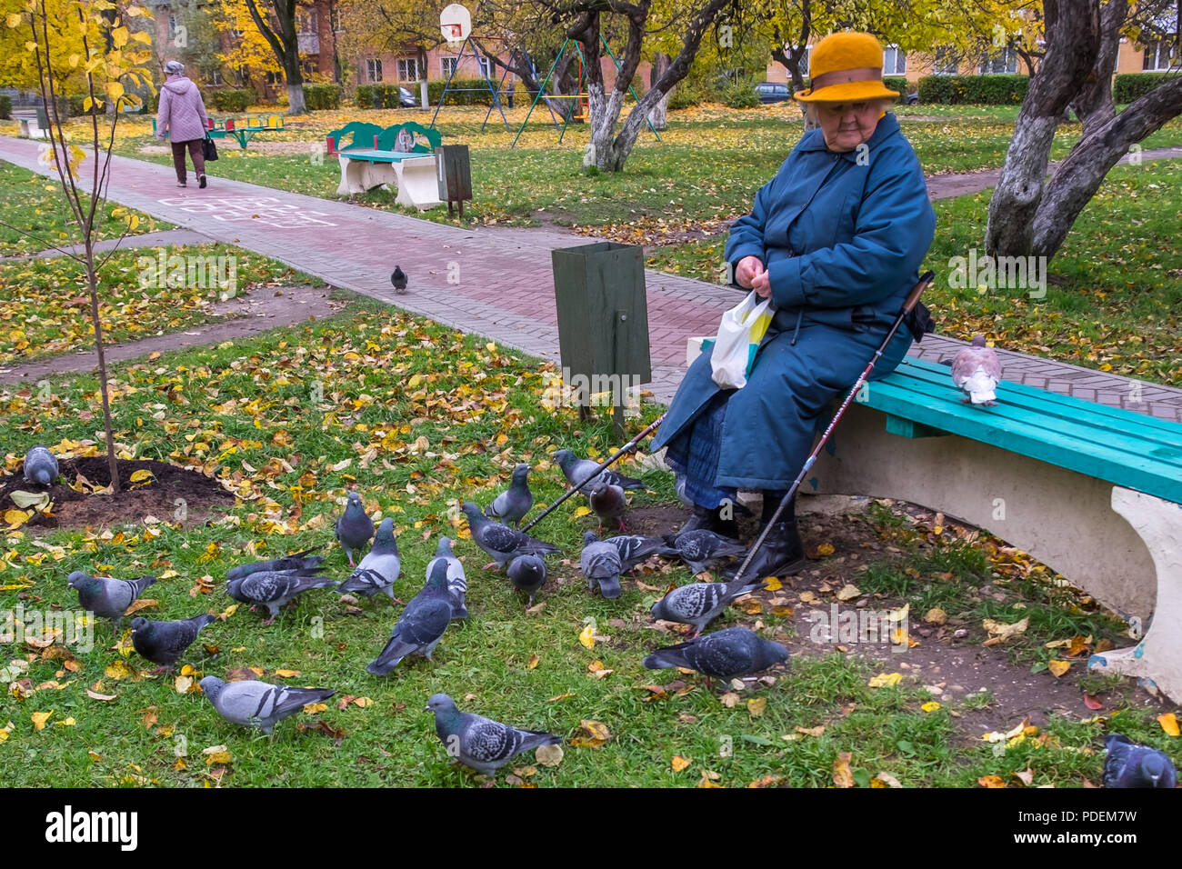Old woman wearing blue coat sitting on bench in public park and feeding ...
