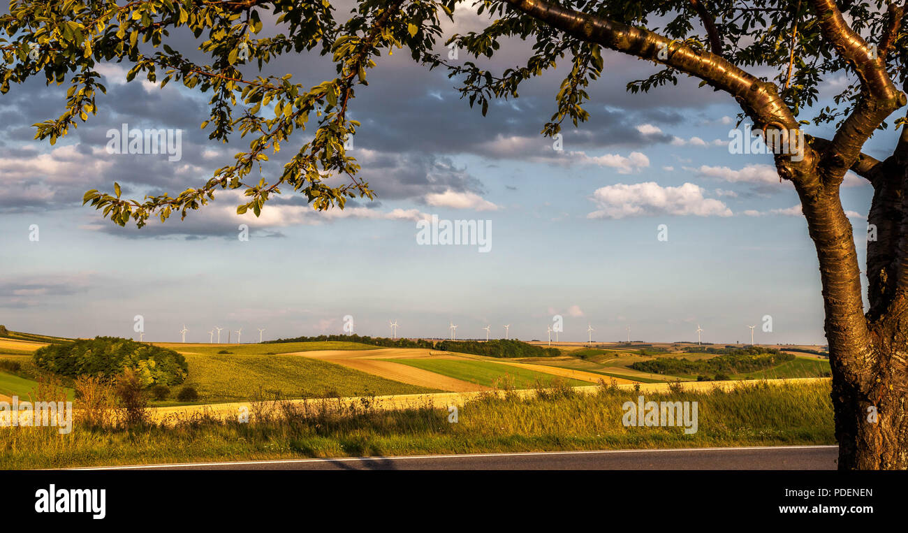 Beautiful panoramic rural landscape with silhouettes of wind generators ...