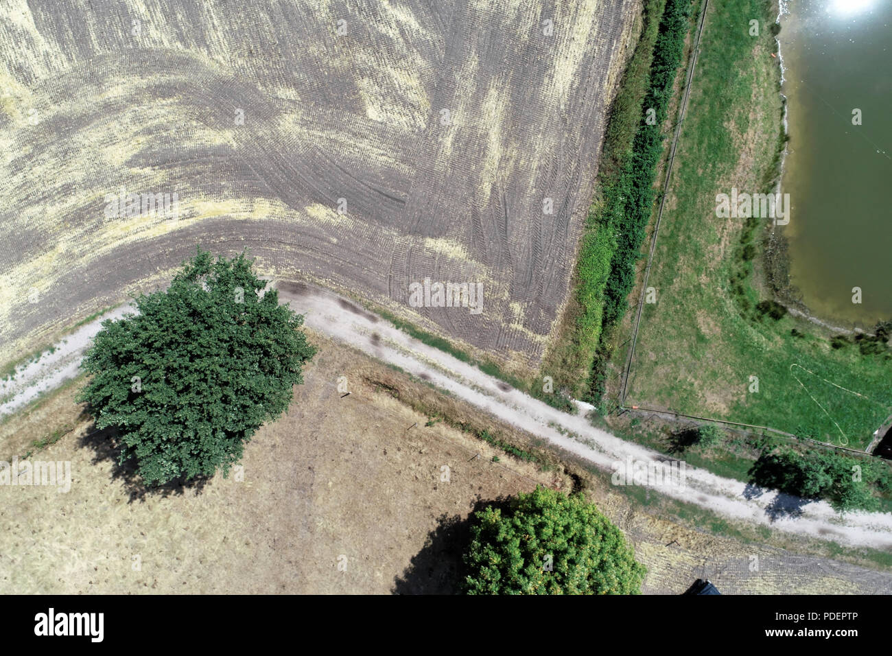 Moat water plants hi-res stock photography and images - Alamy