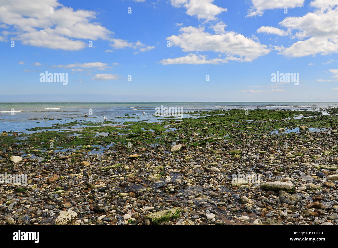 Pools and seaweed hi-res stock photography and images - Alamy