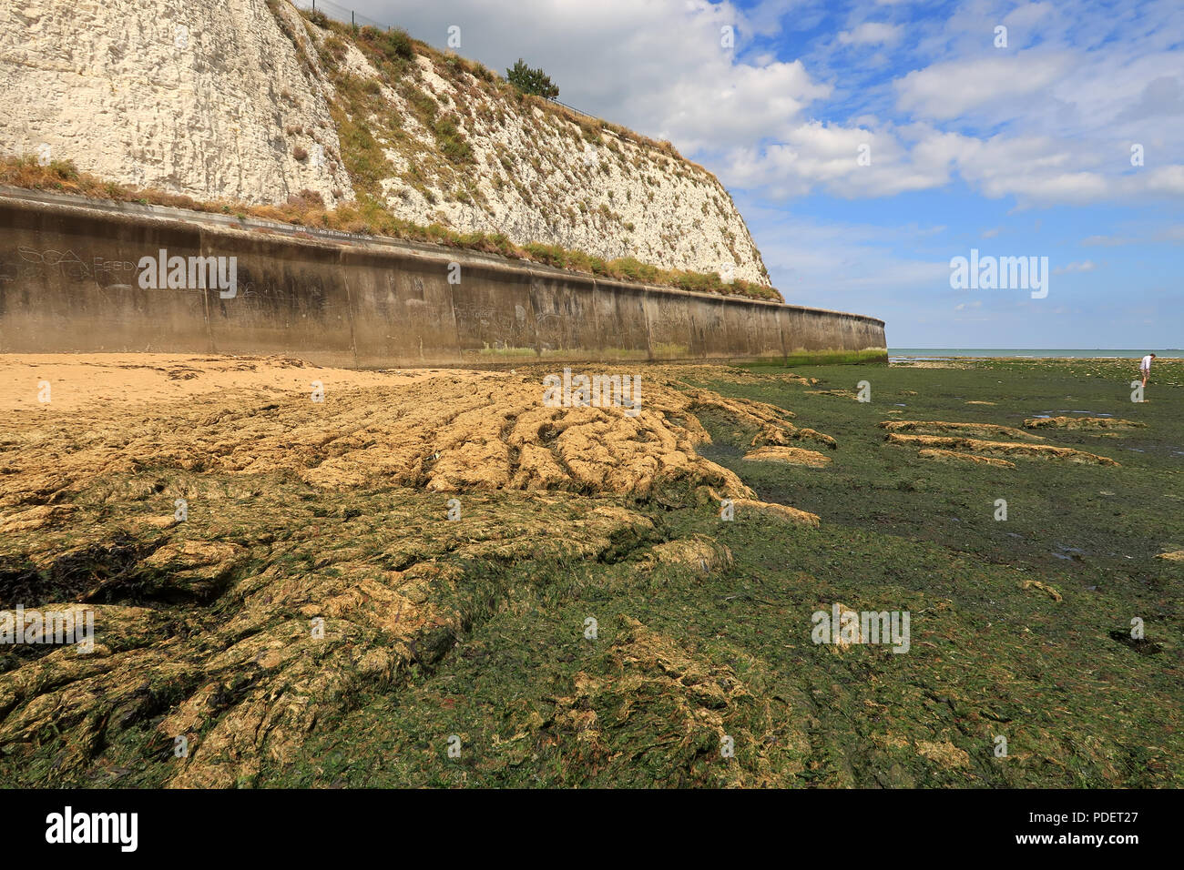 Rock pools and seaweed on the beach at Joss Bay in Kent Stock Photo - Alamy