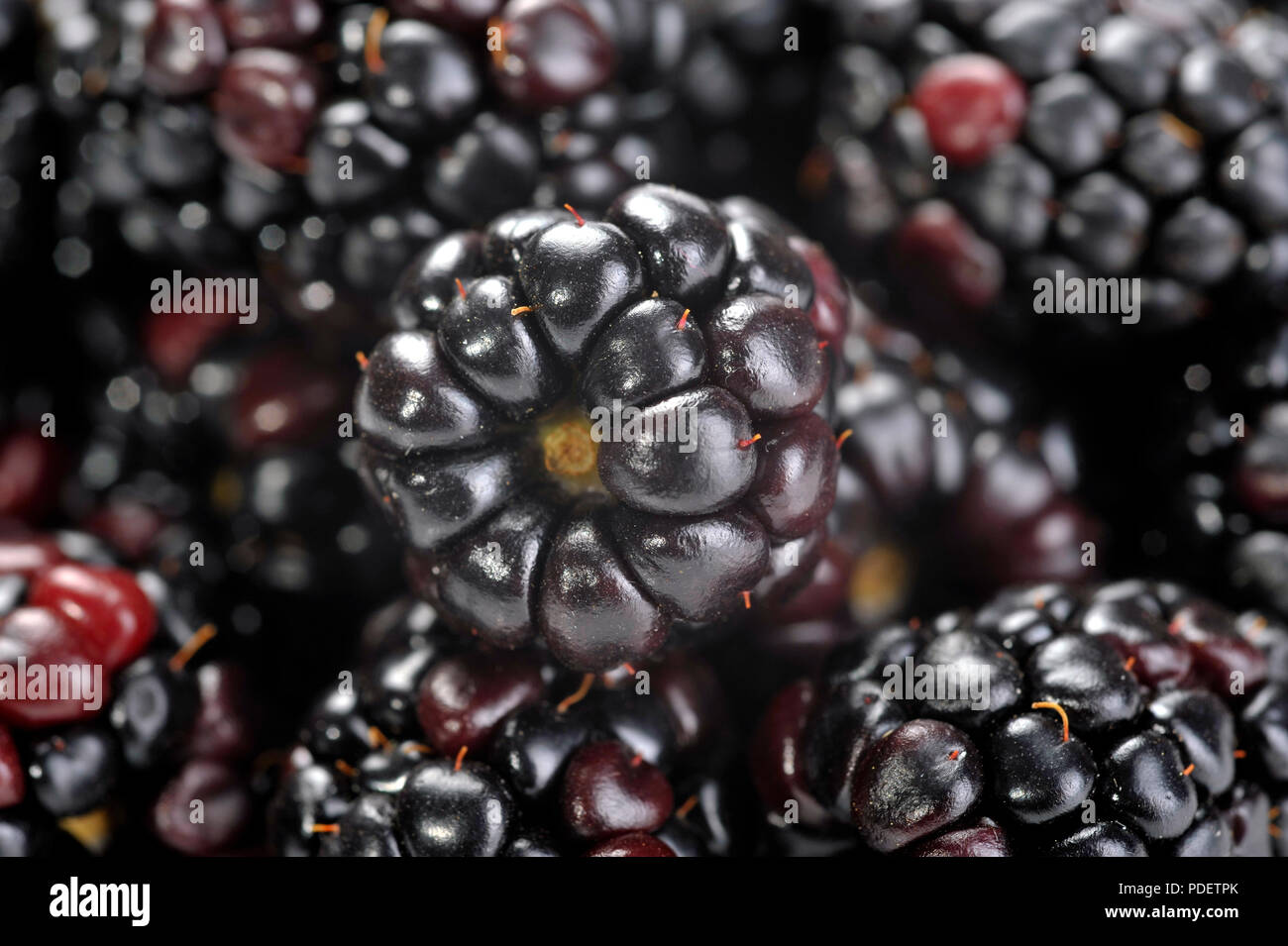 Blackberry texture hi-res stock photography and images - Alamy