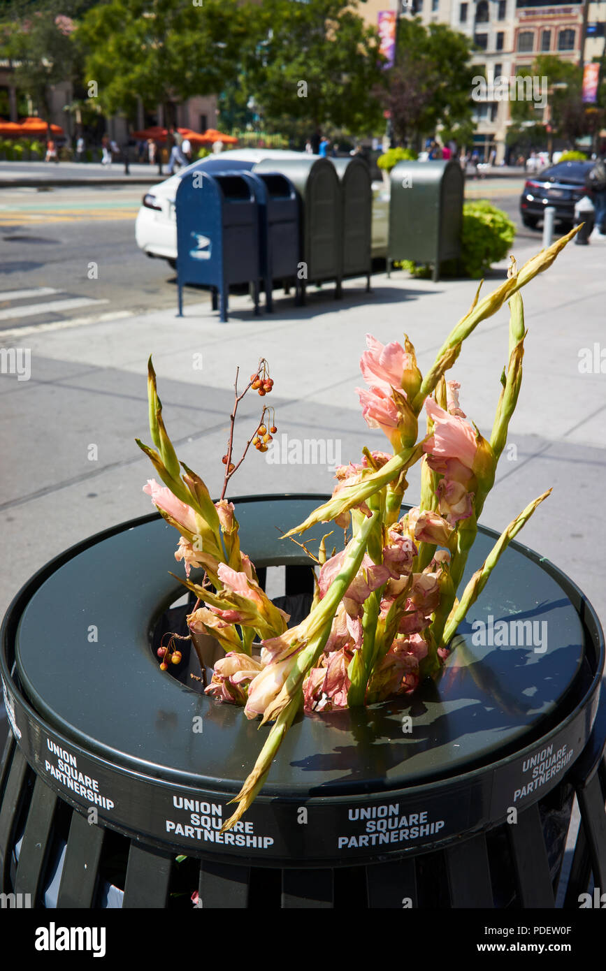 flowers in the garbage Stock Photo - Alamy