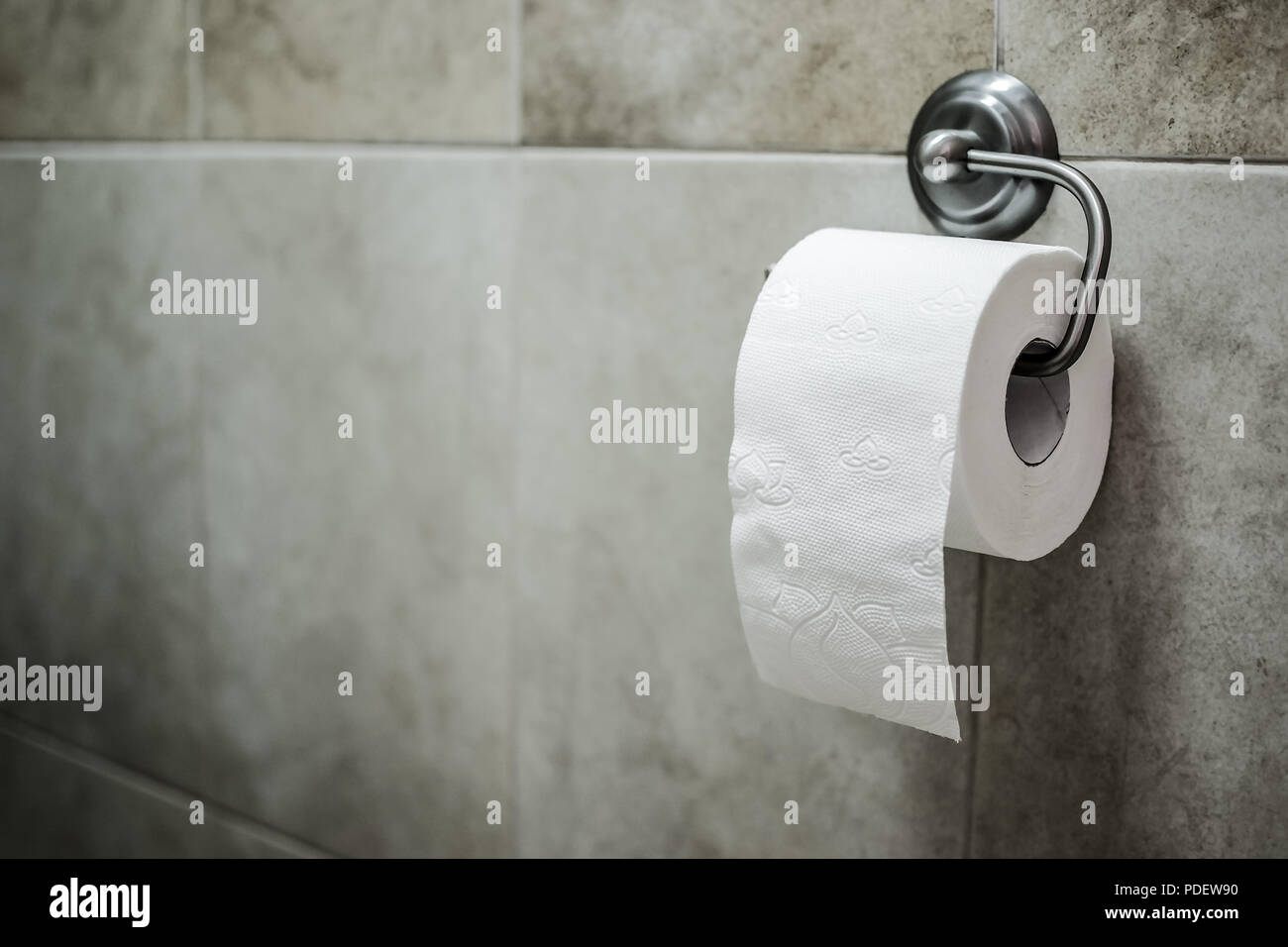 white toilet paper on chrome holder Stock Photo - Alamy