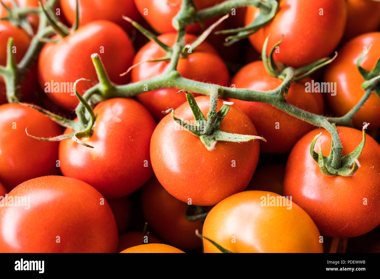 Tomato prop hi-res stock photography and images - Alamy
