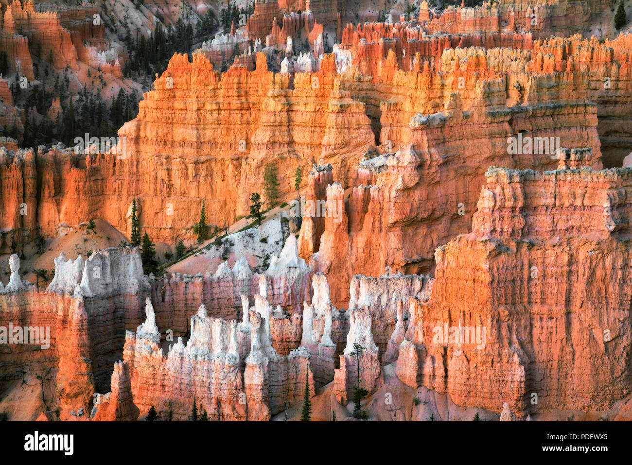 The towering hoodoos glow at civil twilight from Sunset Point in Utah’s ...