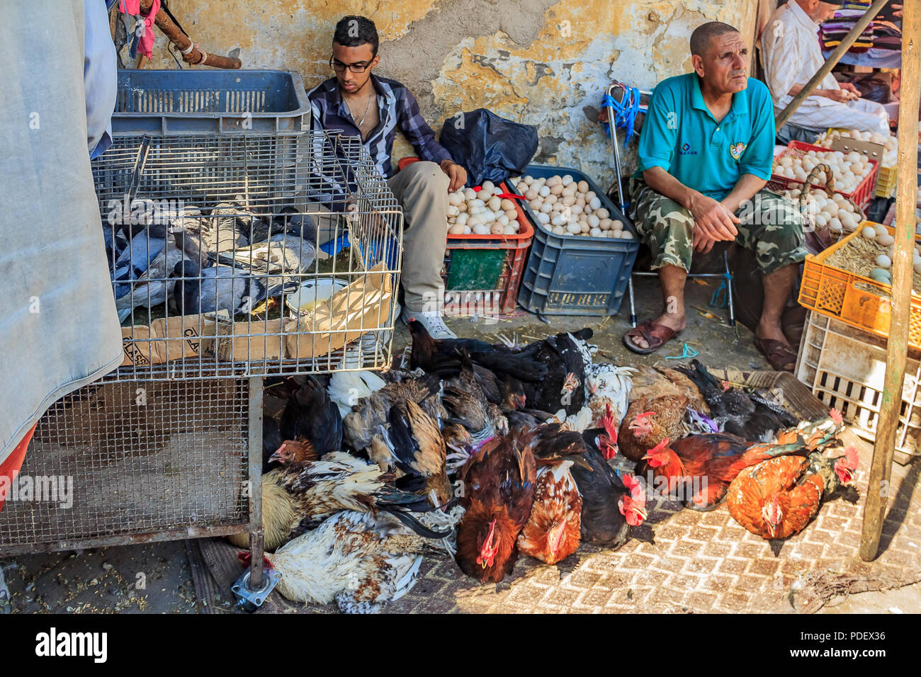 Fes, Morocco - May 11, 2013: Male vendors selling live chicken, pigeons ...