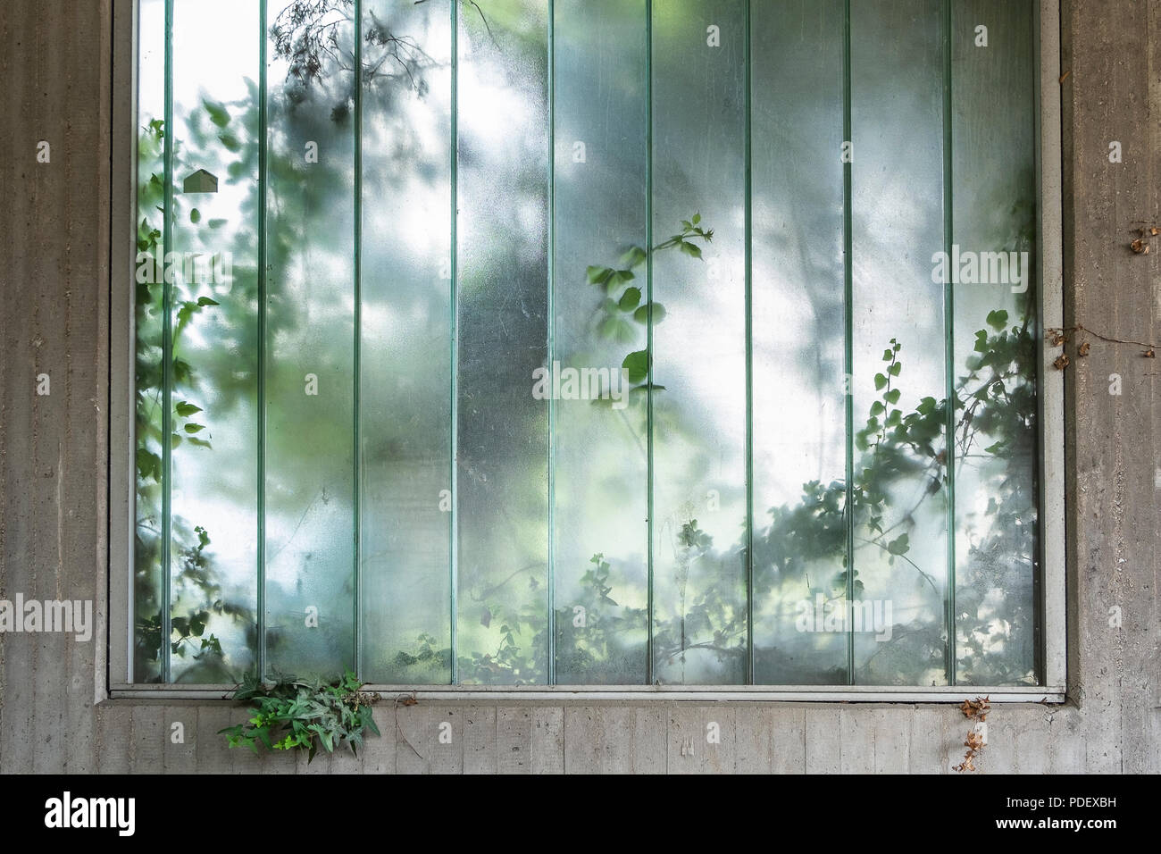 Nature outside of the window hi-res stock photography and images - Alamy