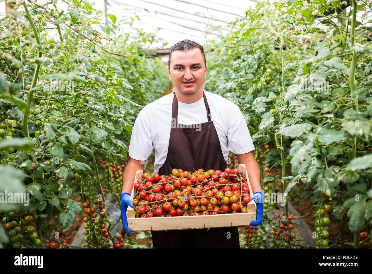 Home based worker hi-res stock photography and images - Alamy