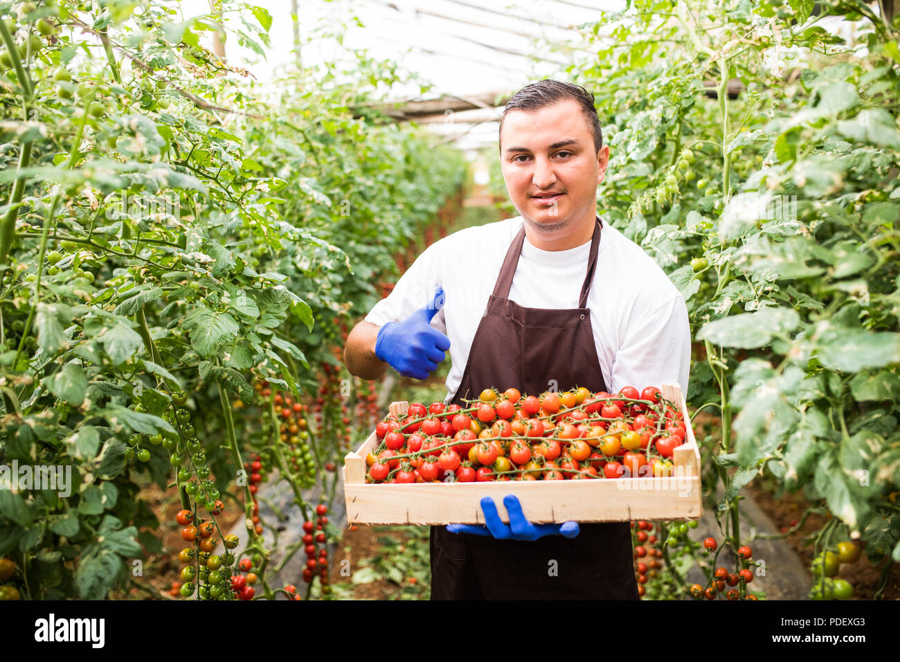 Famr hi-res stock photography and images - Alamy