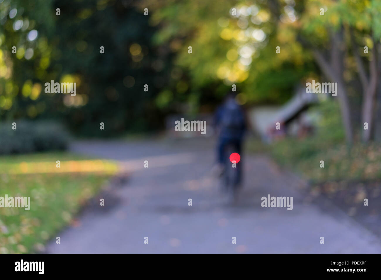 person riding bicycle in park on stone path way Stock Photo - Alamy