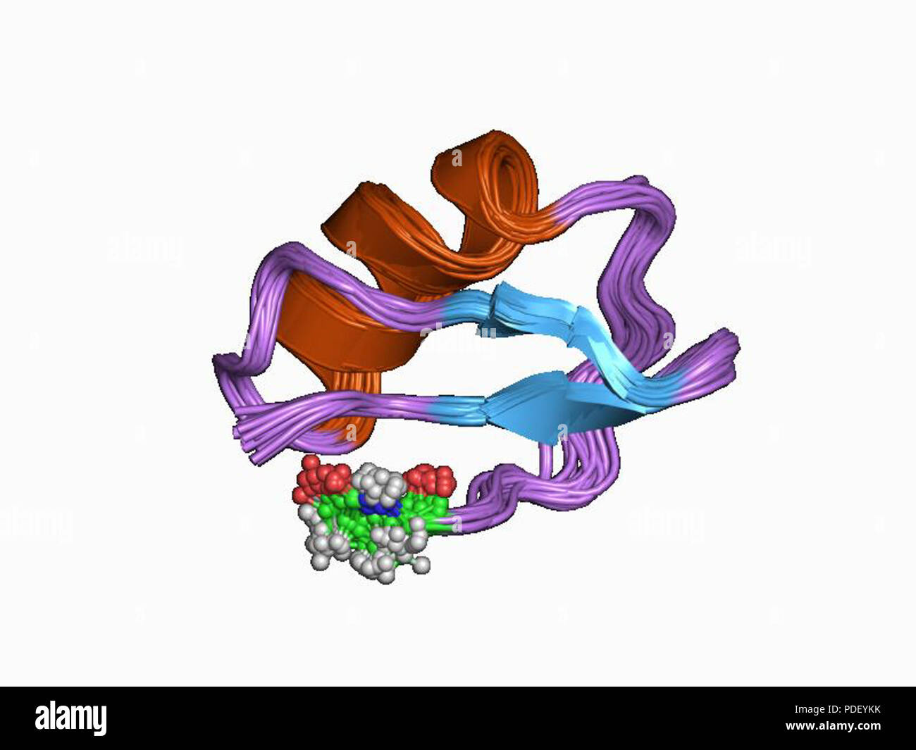 Beta barrel protein hi-res stock photography and images - Alamy