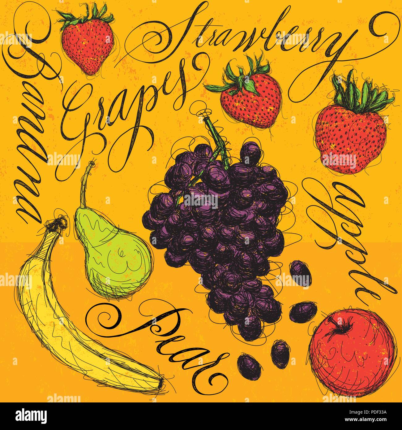 Fruit line drawing hi-res stock photography and images - Alamy