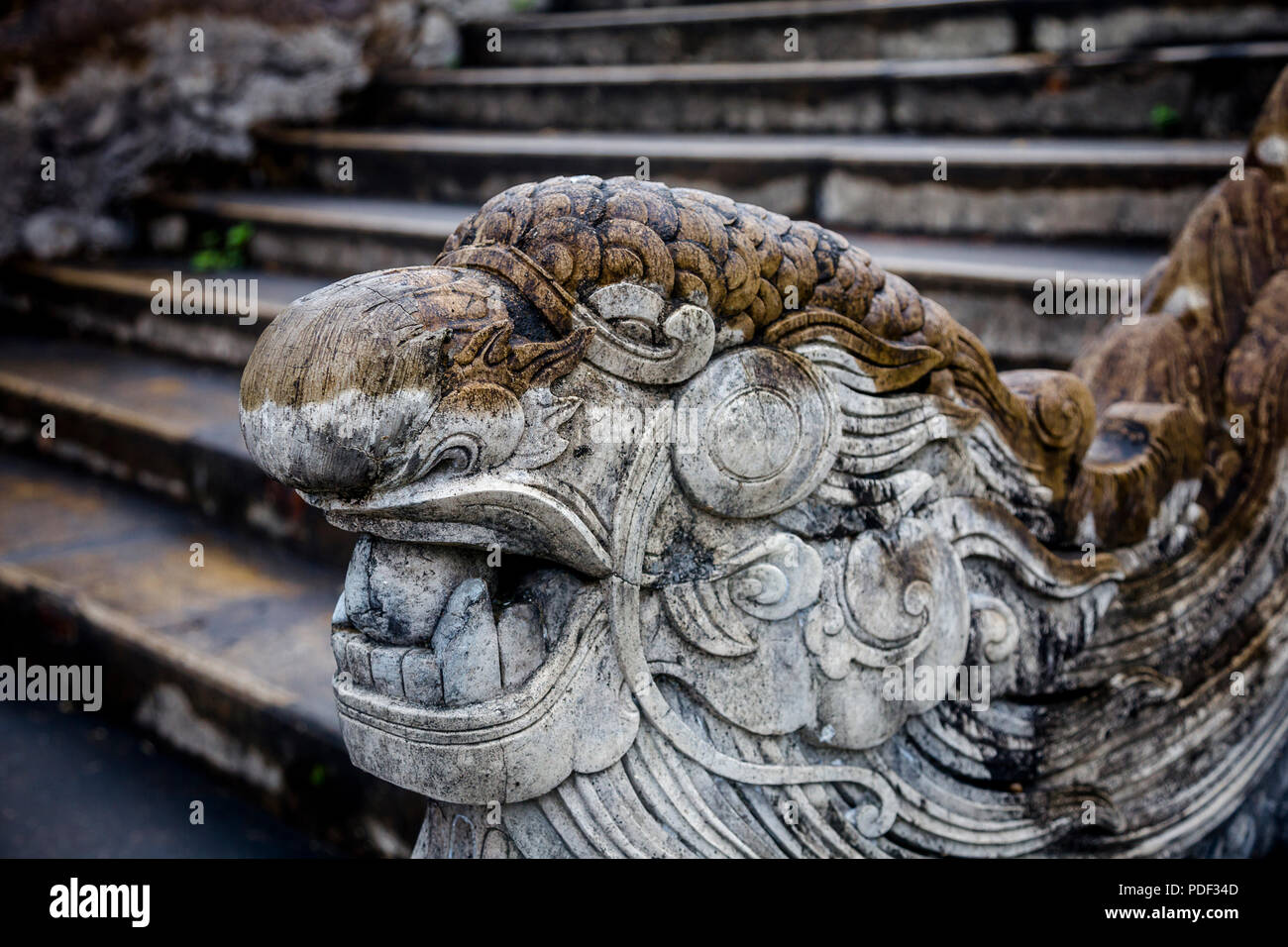 The Citadel Dragon head close up Stock Photo - Alamy