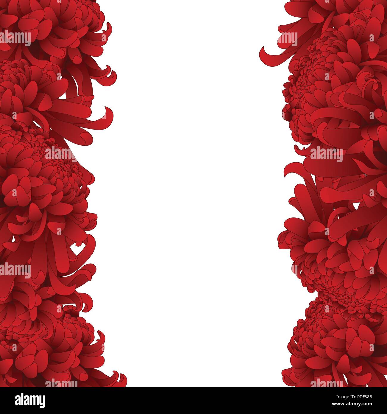 Red Chrysanthemum, Kiku Japanese Flower Border. Vector Illustration ...