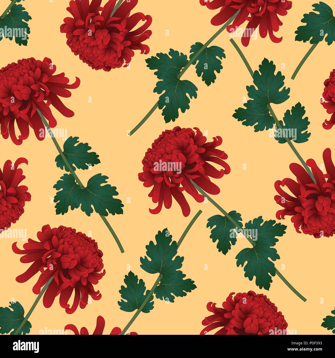 Red and yellow mums Stock Vector Images - Alamy