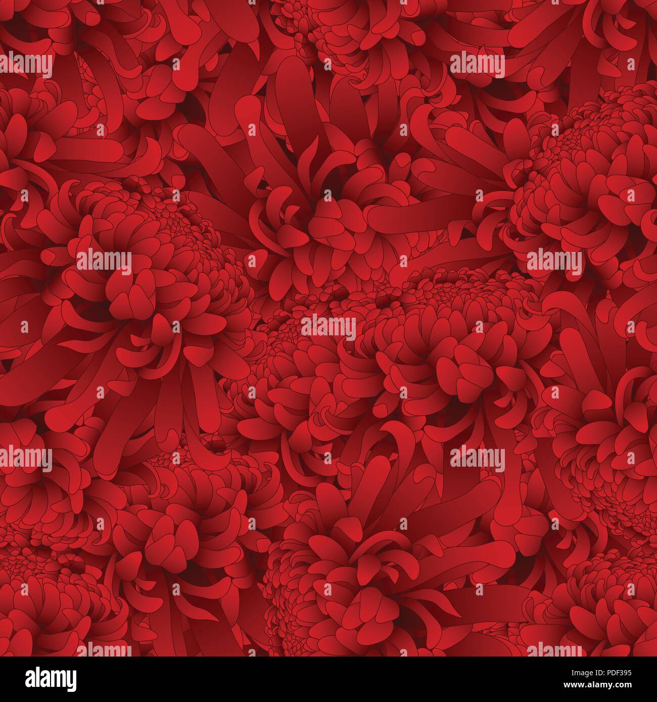 Red Chrysanthemum, Kiku Japanese Flower Seamless Background. Vector ...