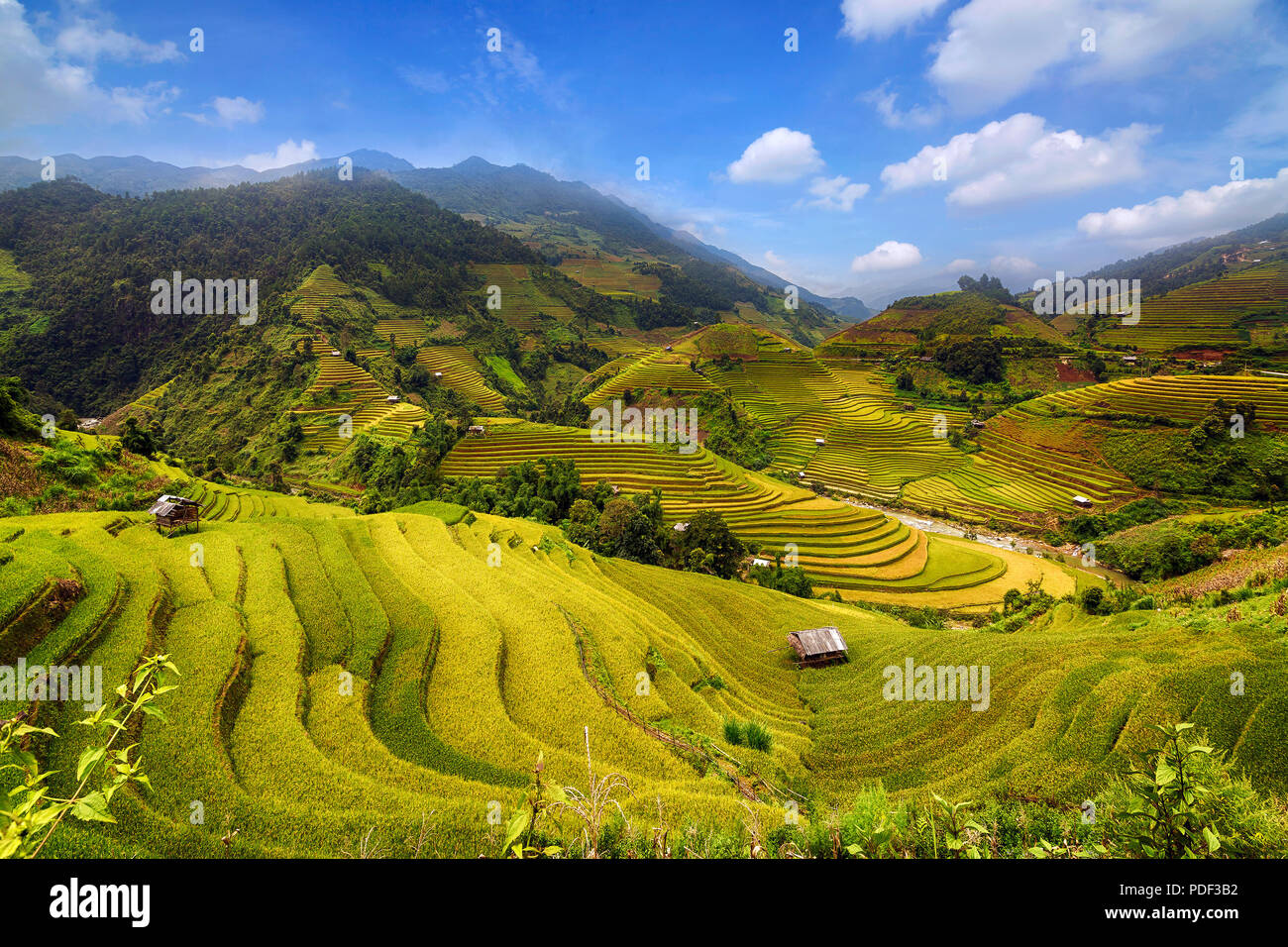 Viietnam landscape hi-res stock photography and images - Alamy