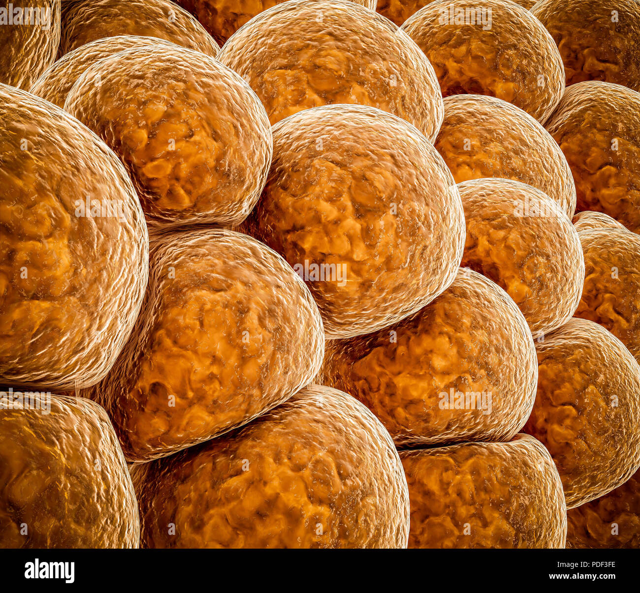 3d Illustration of Fat cells abstract background Stock Photo - Alamy