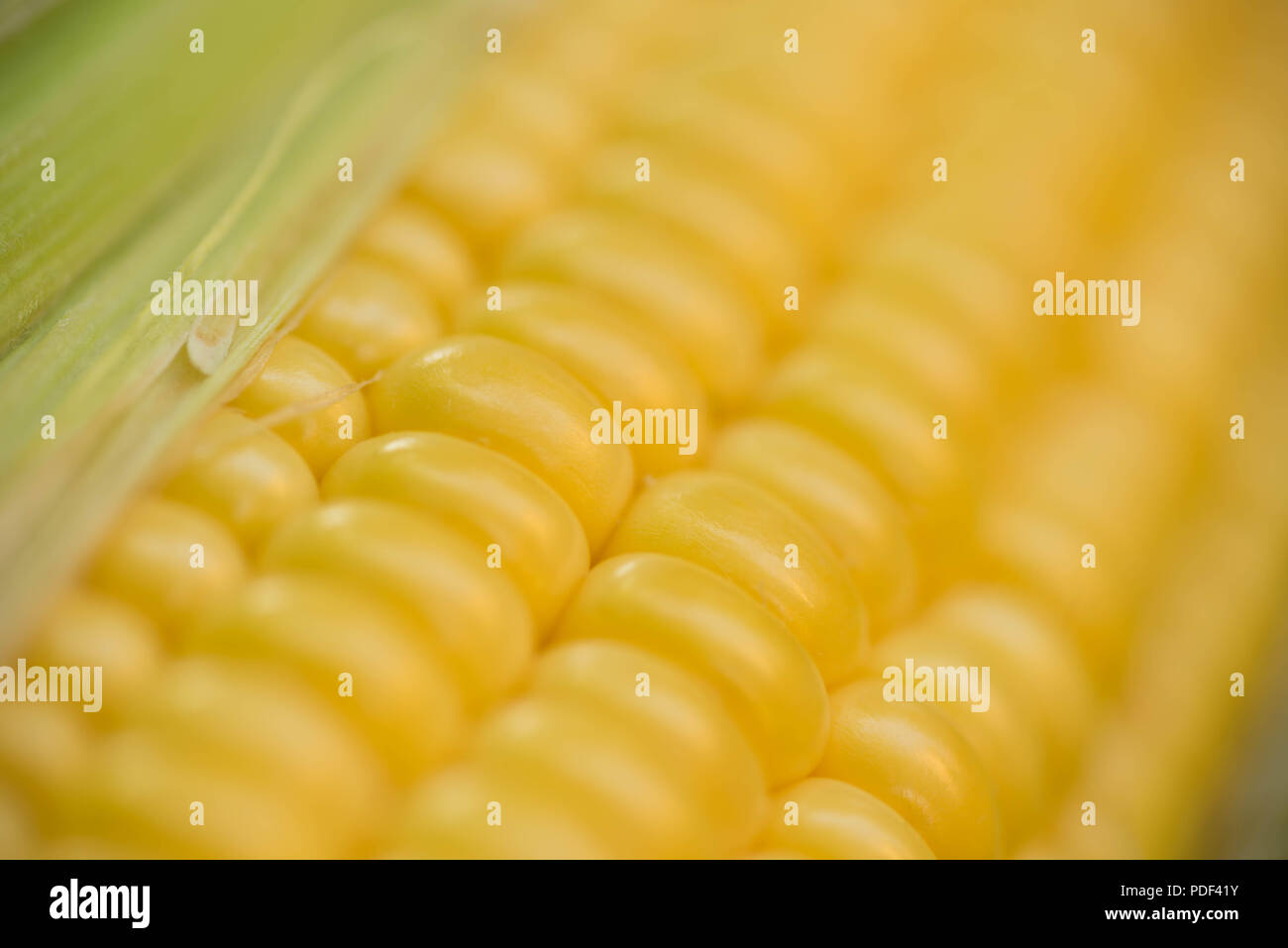 Corncob texture hi-res stock photography and images - Alamy