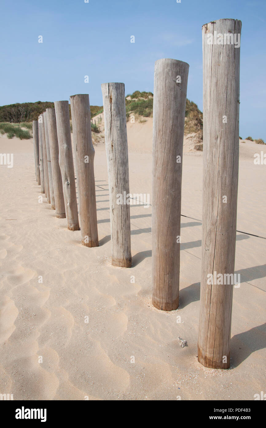 wooden poles in the dunes near a beach Stock Photo - Alamy