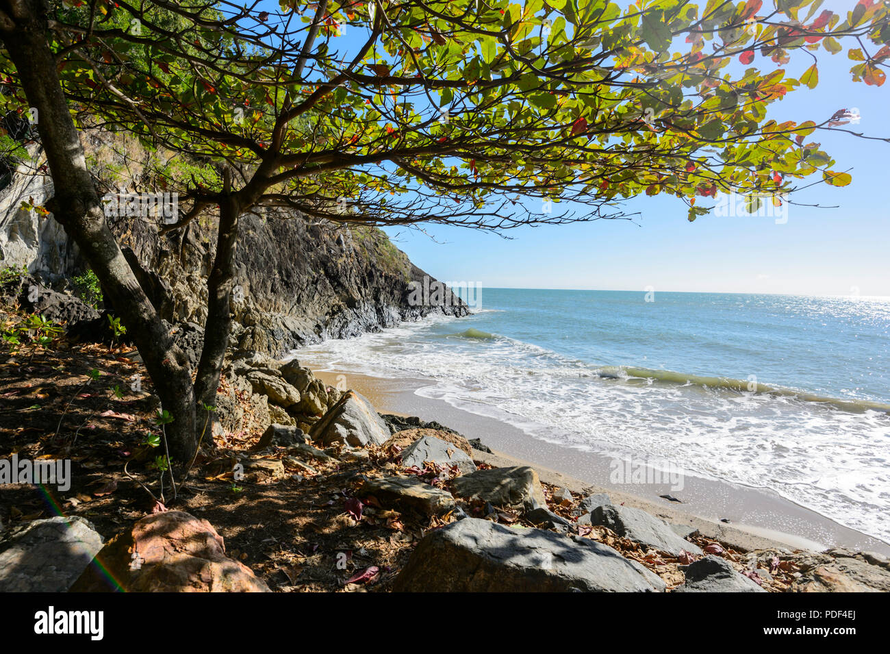 Scenic view of the beach at Yorkeys Knob, Cairns Northern Beaches, Far ...