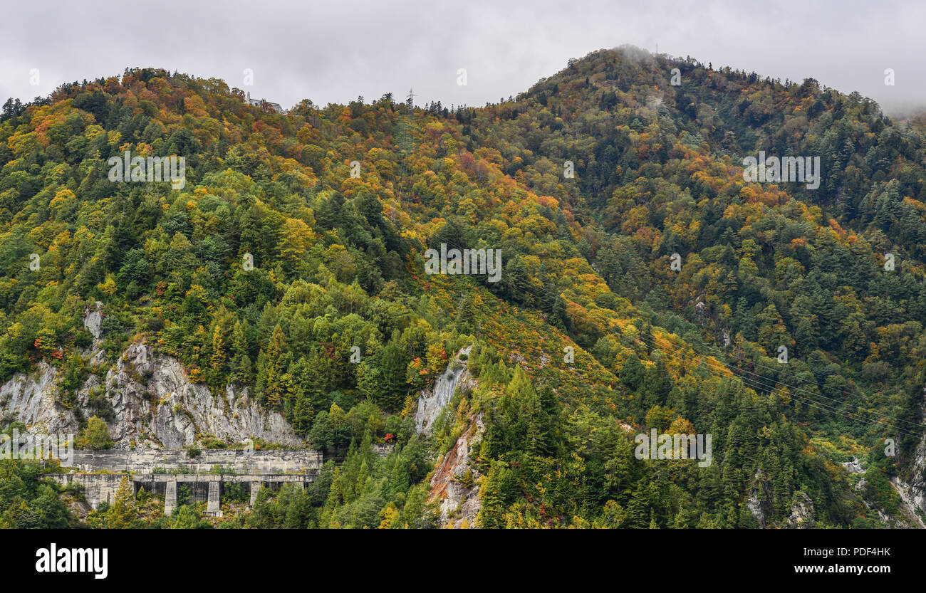 Mountain scenery at autumn in Tateyama Kurobe Alpine Route, Japan Stock ...