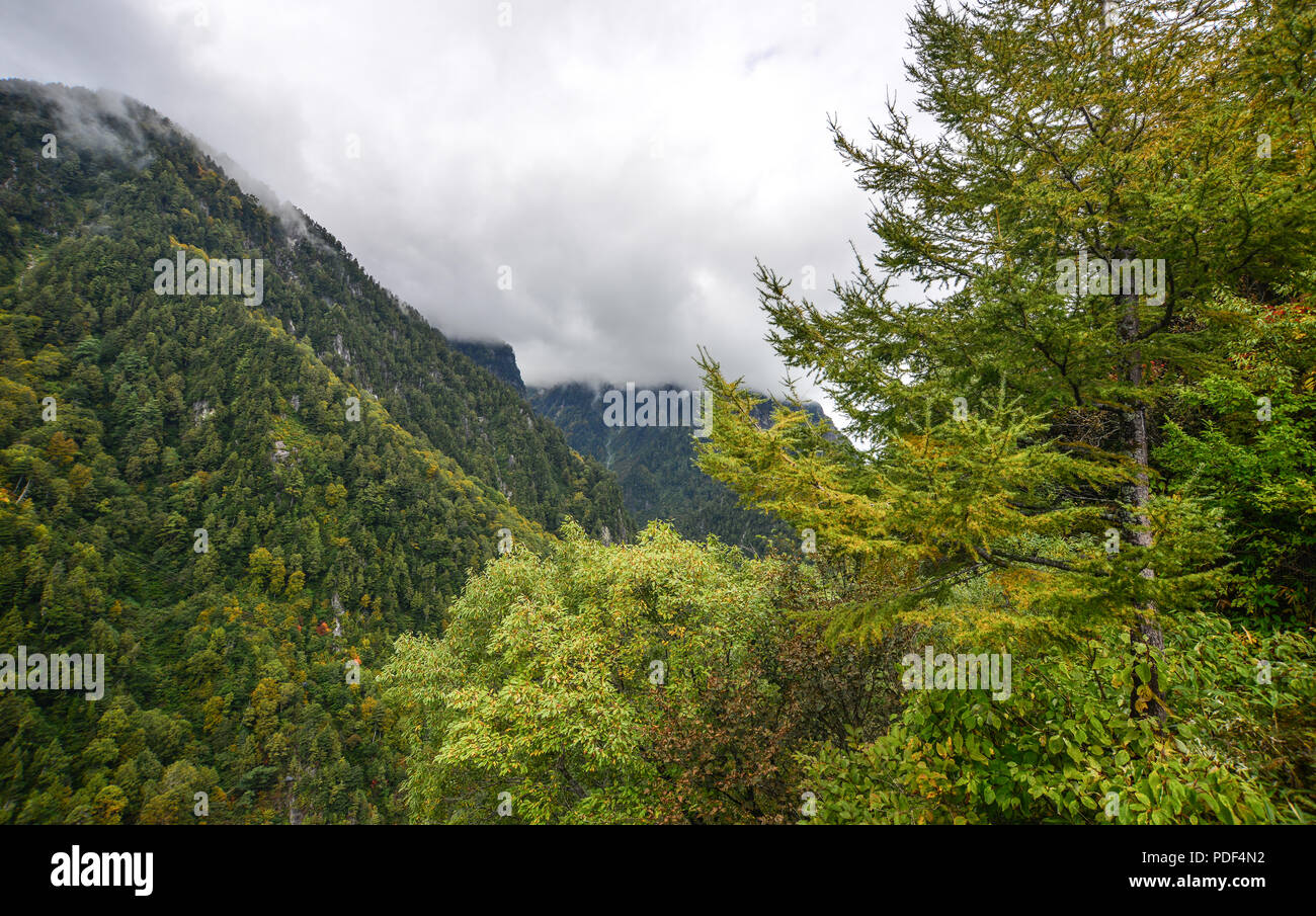 Mountain scenery at autumn in Tateyama Kurobe Alpine Route, Japan Stock ...