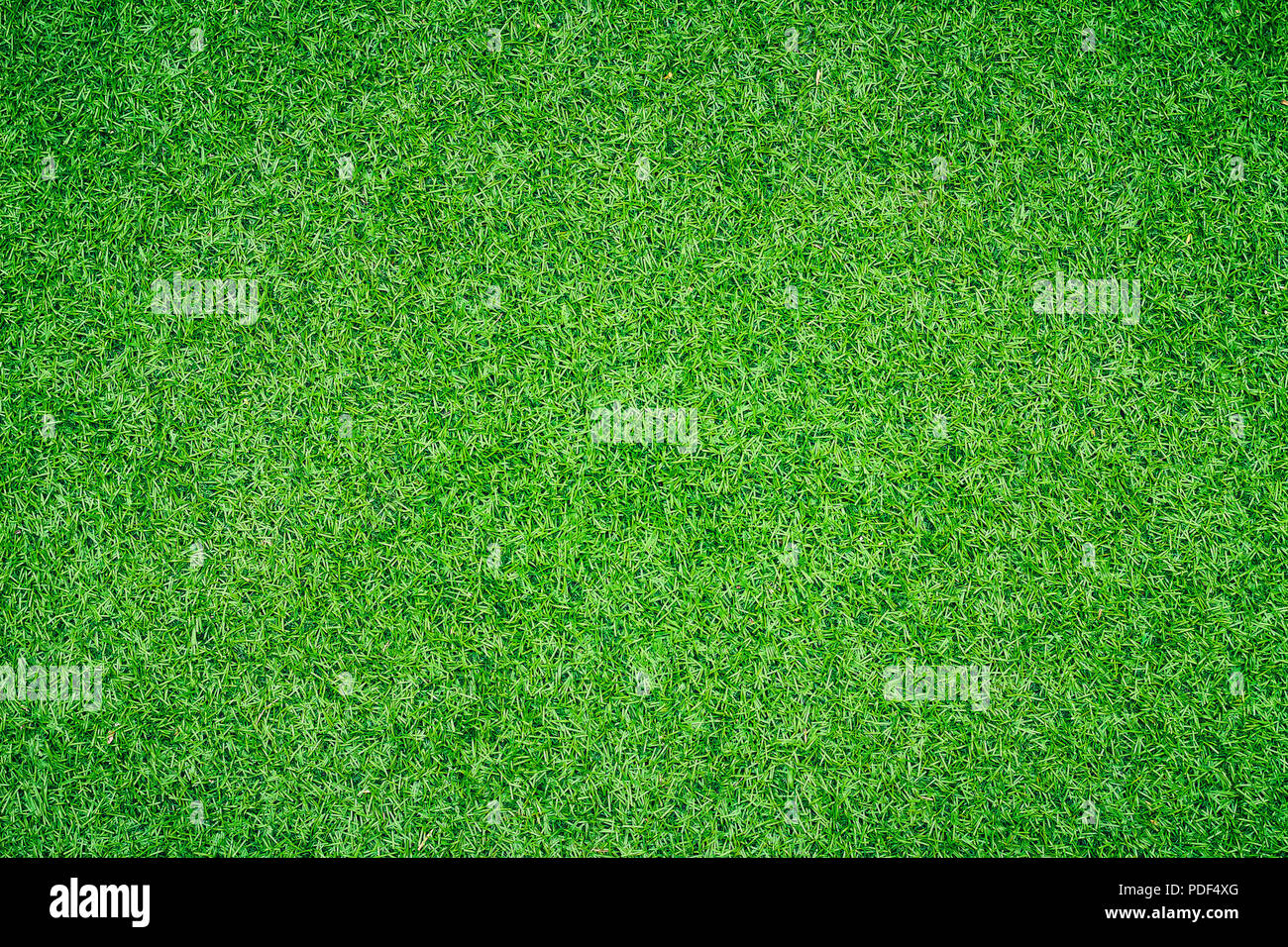 green grass background Stock Photo - Alamy