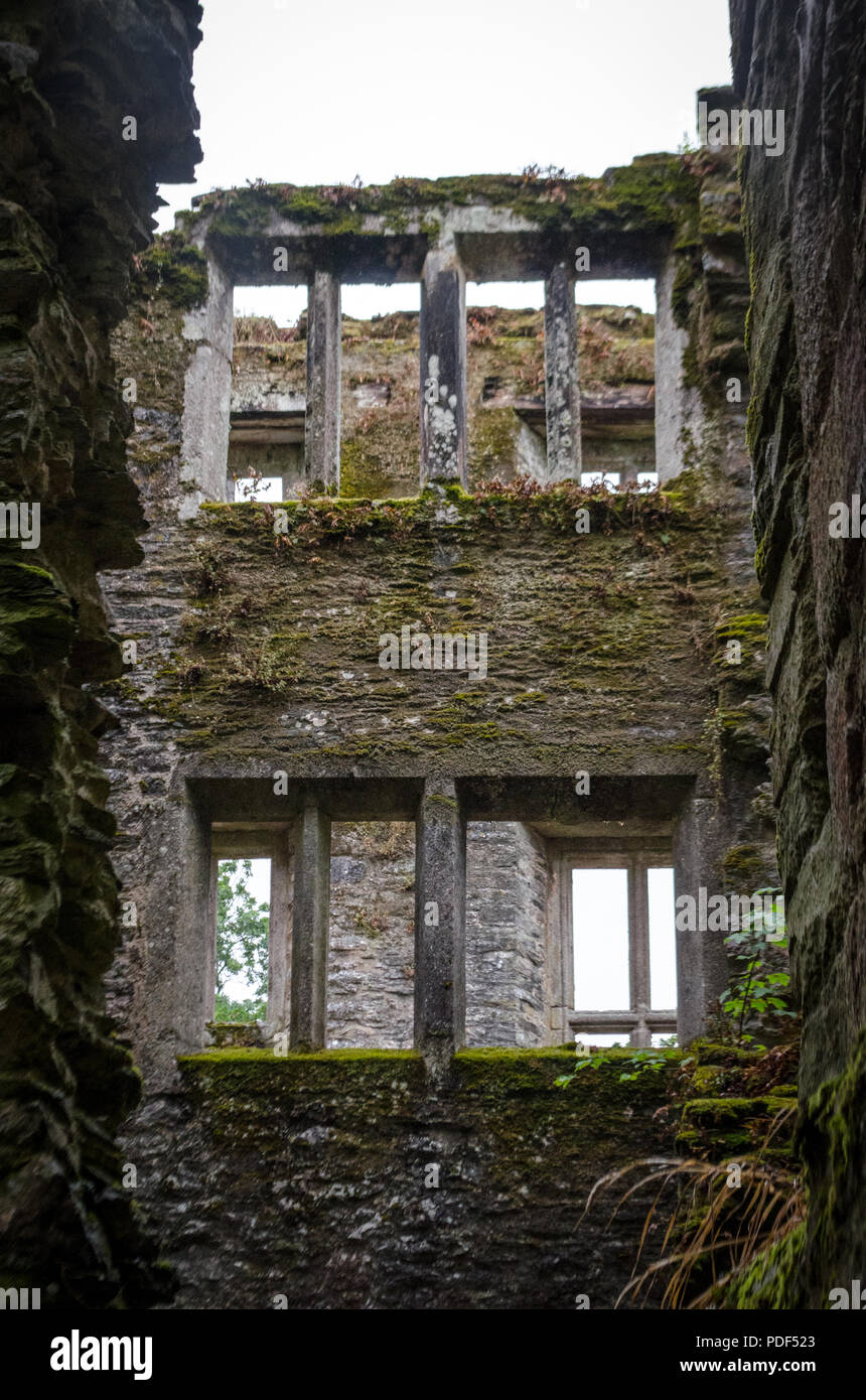 Berry Pomeroy Castle, Devon Stock Photo - Alamy