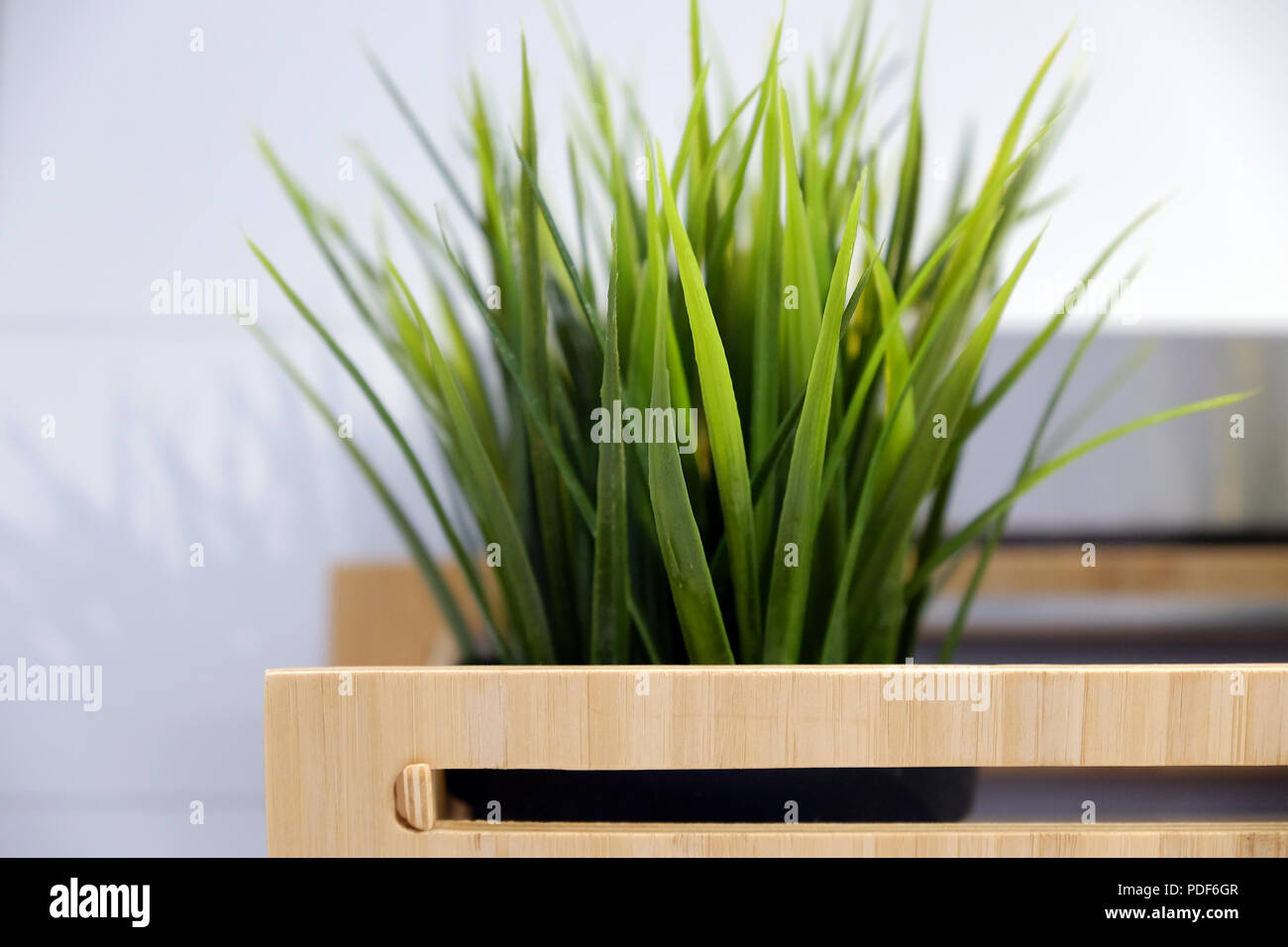 In a wooden box decorative home greens. In the kitchen on the ...