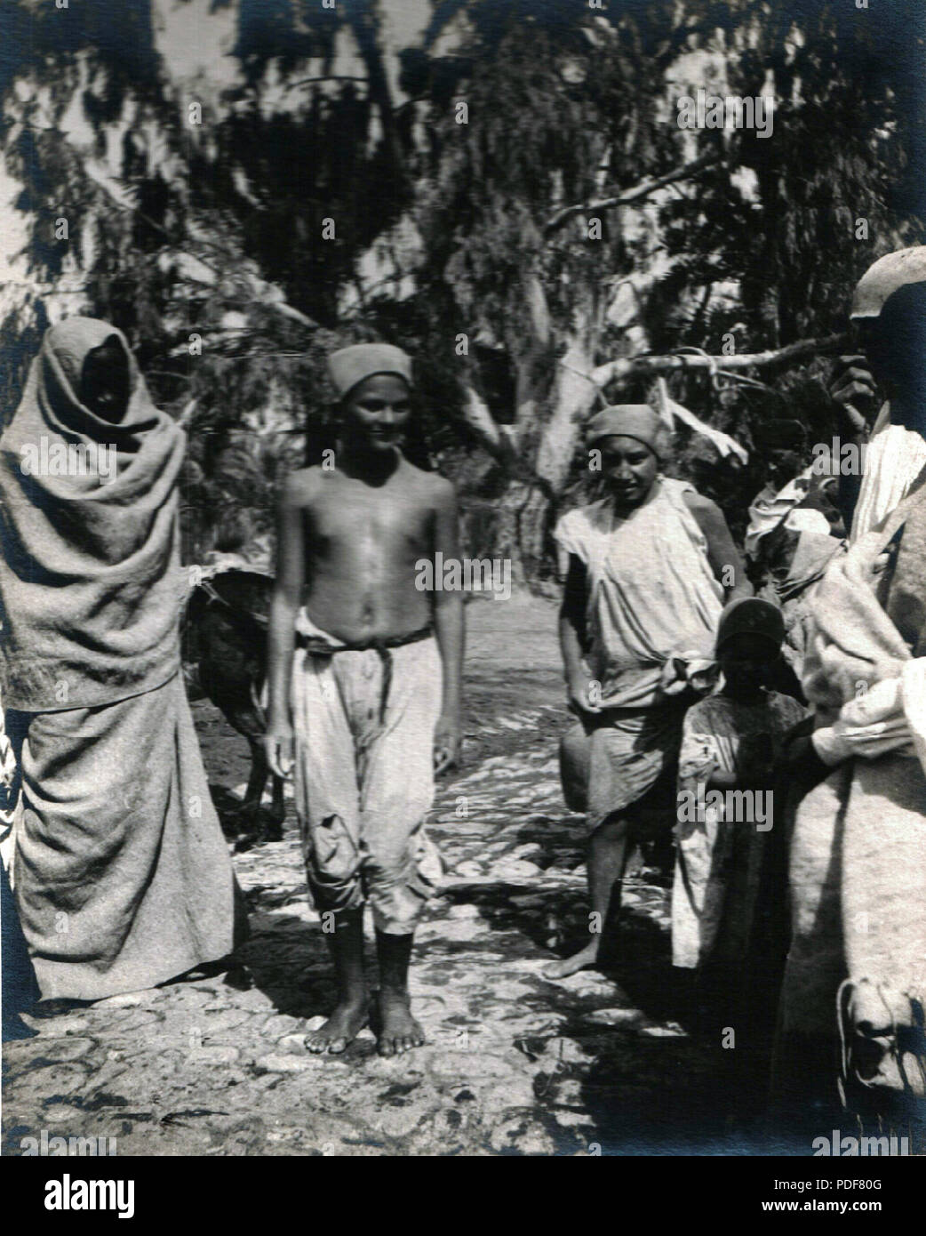 Sahara historical hi-res stock photography and images - Alamy