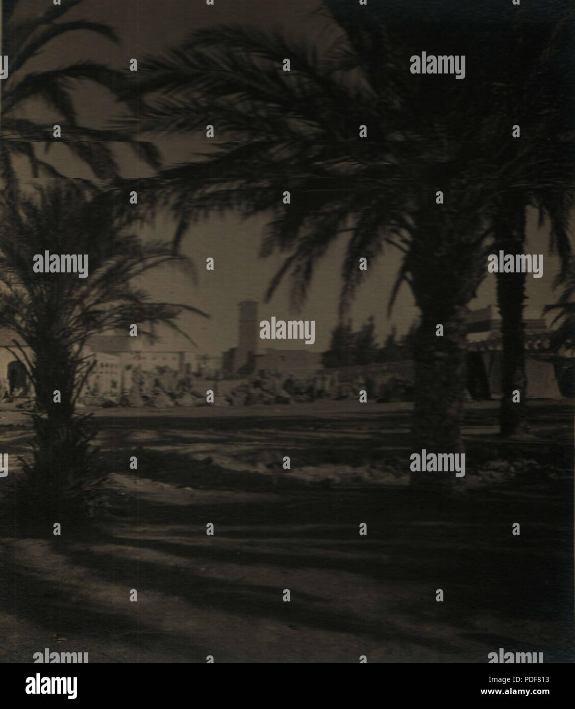 Touggourt hi-res stock photography and images - Alamy