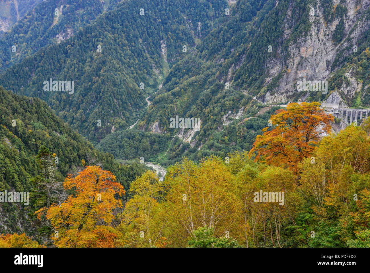 Mountain scenery at autumn in Tateyama Kurobe Alpine Route, Japan Stock Photo - Alamy