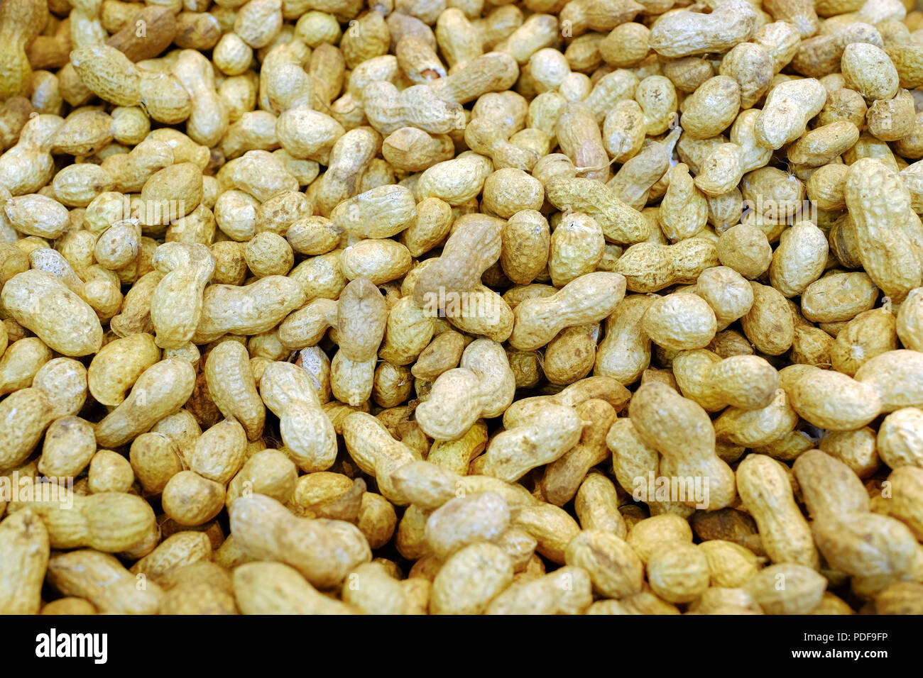 Peanuts in the texture of the shell. Nutritious peanuts. The texture of ...