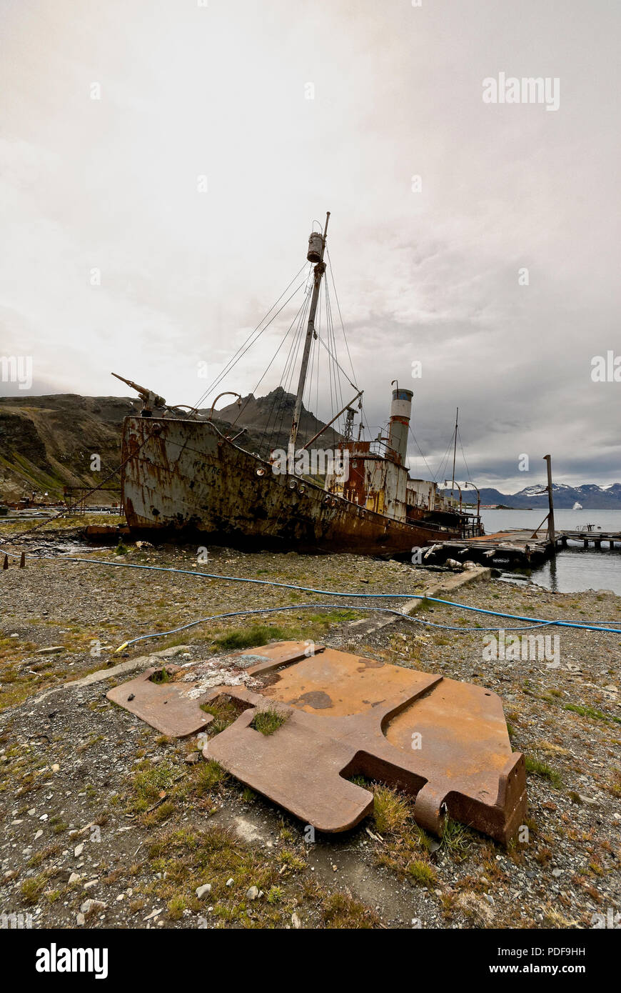 Derelict and deverticalcaying whaling ship Petrep in Grytviken harbour ...