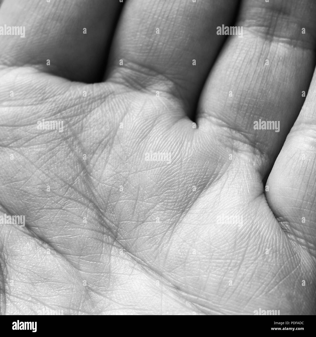 Close up human hand, the value of the lines on the palm textures ...